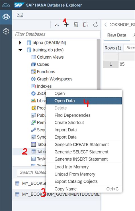Solved No Database Credentials Provided In Capm Sap Community