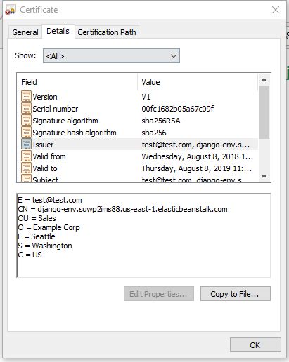 Amazon Web Services Elastic Beanstalk Non Custom Domain Stack Overflow