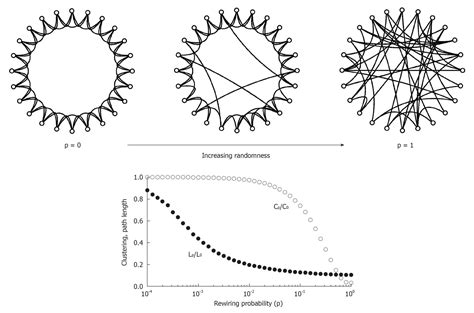 Graph Based Network Analysis In Schizophrenia