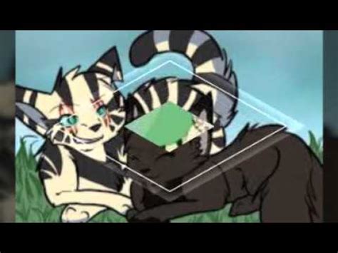 Warrior Cats Longtails Death Youtube
