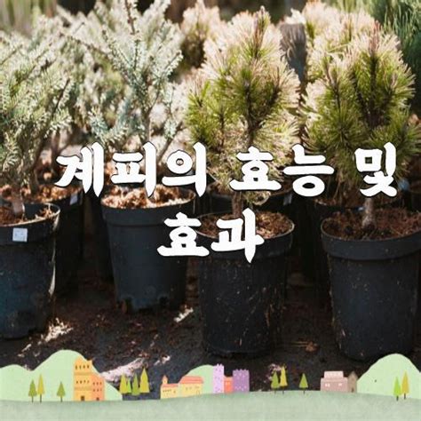 계피의 효능 및 효과