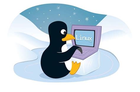 Os Linux Cocok Untuk Programming Eduidea