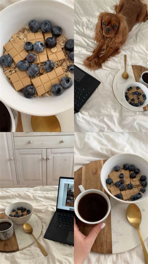 Утренняя рутина Тыквы Утренняя рутина