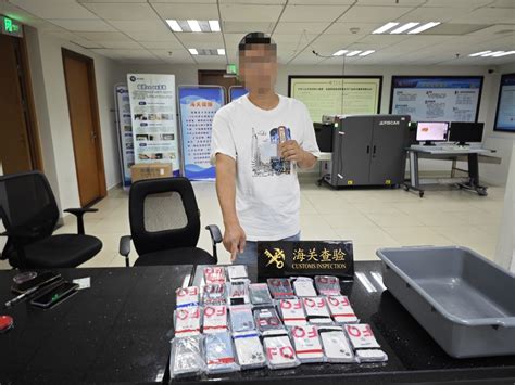 港珠澳大桥海关查获一起利用澳门单牌车走私旧手机进境案
