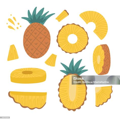 빅 파인애플 세트 전체 파인애플 아나나 및 부품 잎 슬라이스 코어 주스 방울 과일 이미지의 컬렉션 플랫 디자인 그래픽 요소 흰색 배경에 격리된 벡터 그림 개체 그룹에 대한