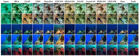 Electronics Free Full Text Underwater Image Enhancement Method Based On Improved Gan And