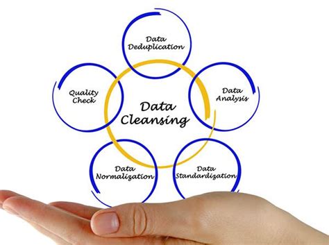 Effective Machine Learning Through Data Preparation