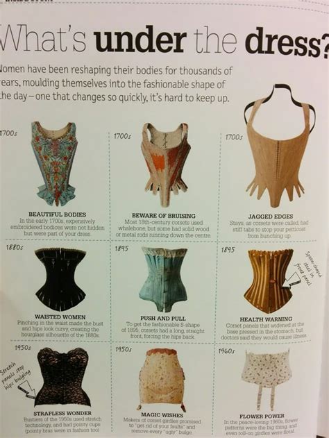 Different Shapes A Styles Of Historical Corsets Which Are Now Coming