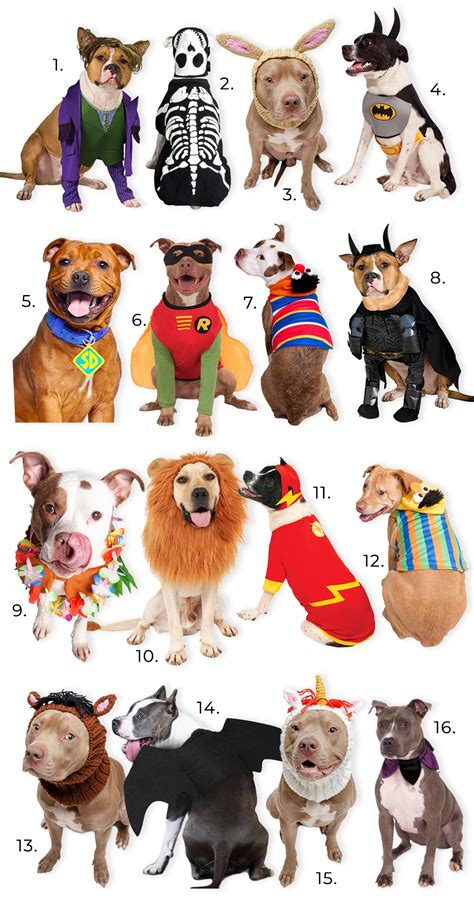 30 Cute Halloween Costumes For Pitbulls Hey Djangles