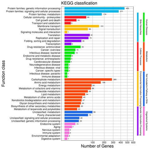 Microorganisms Special Issue Food Microorganisms And Genomics