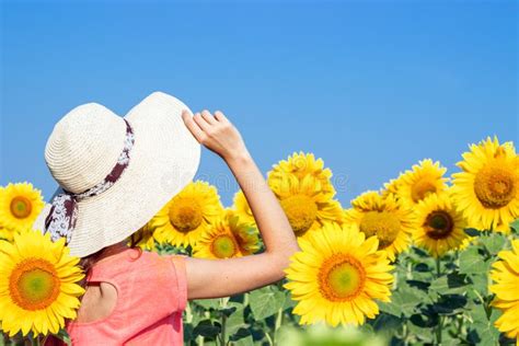 Маленькая девочка в шляпе в поле солнцецветов в лете Взгляд от задней части Флористический