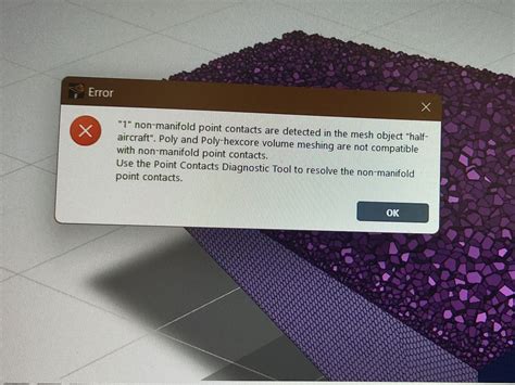 Problem Occur While Meshing Aircraft Flowthermolab Computational