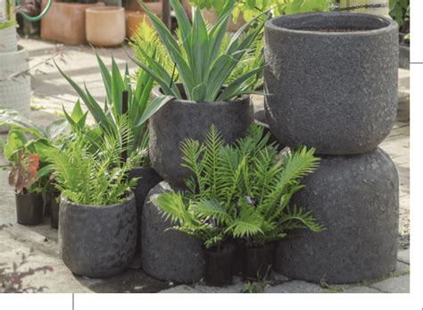 Traditional And Unique Plant Pots Geelong Quality And Style