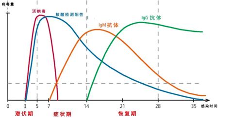 广州可检测新冠抗体！建议这些人群重点检测病毒免疫症状
