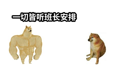 一切皆听班长安排 网友制作的meme梗图