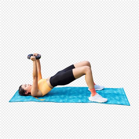 바벨 플레이트 Png 일러스트 및 벡터 이미지 무료 다운로드 Lovepik