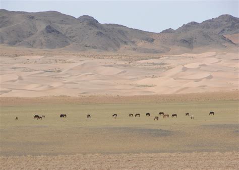 Gobi Gurvansaikhan National Park Audley Travel Uk