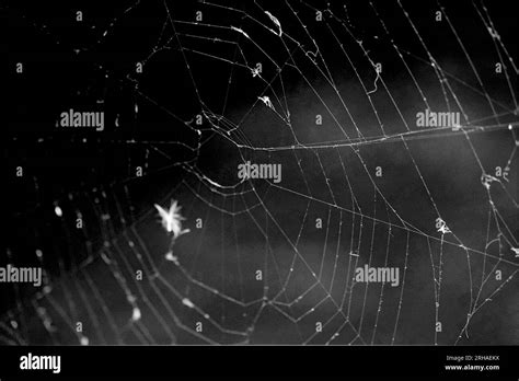 Triangle Horror Cobweb Or Spider Web On Black Background Horizontal