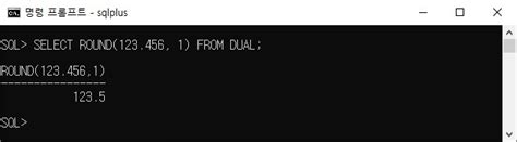 Oracle 자리수 반올림 올림 버림round Trunc Ceil Floor — 공부하는 개발자 강씨네