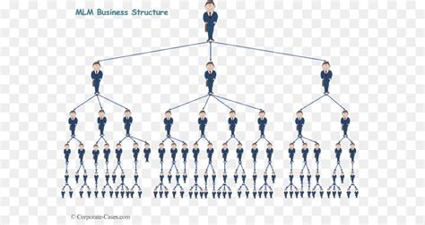 Multi Level Marketing Binary Plan Software Mlm Software Mlm Software Solution मल्टी लेवल