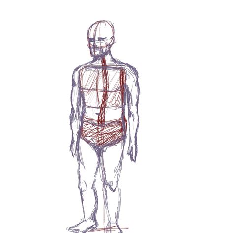 I Have Been Learning Figure Drawing For A Week And ım So Happy With