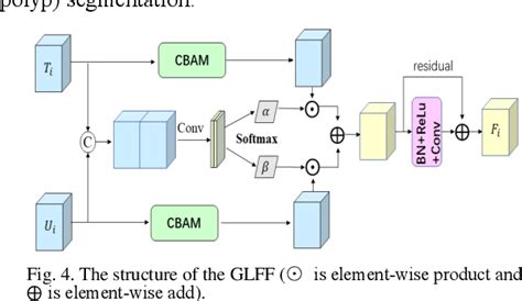 Cooperation Learning Enhanced Colonic Polyp Segmentation Based On