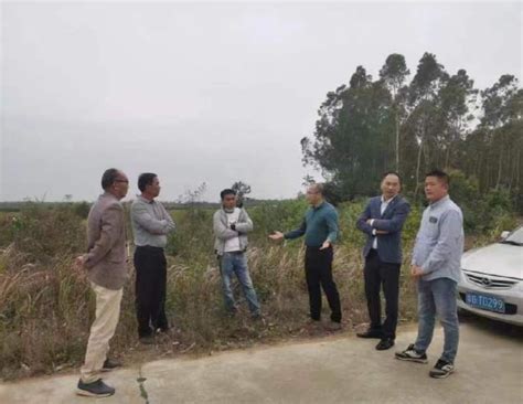 界炮镇组织人大代表视察调研农村土地流转工作遂溪县人民政府公众网站