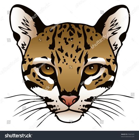Ink Drawing Ocelots Face Raster Stock Illustration Shutterstock