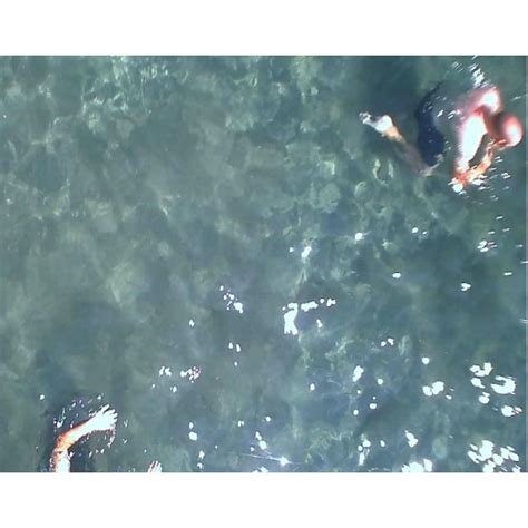 Gggg Object Detection Model By Nikita Evdokimov