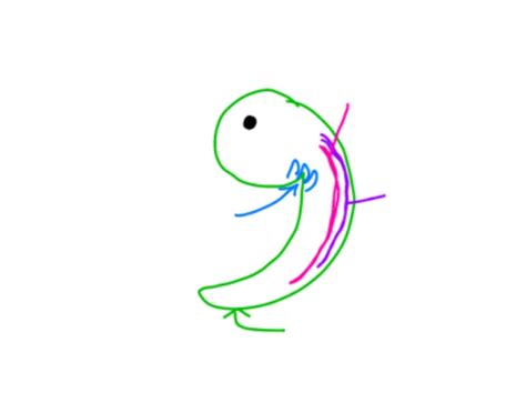 Embryo Diagram Quiz Embryo Diagram Quiz