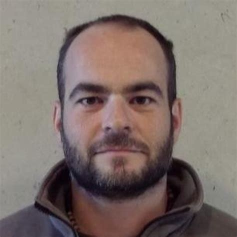 Hedera Release Cadence Overview Hedera