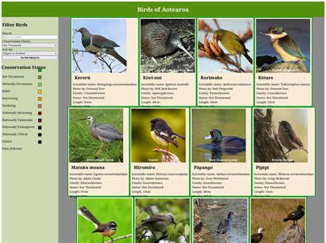 2022 Assignment 1 Gallery COSC203 Web Databases And Networks