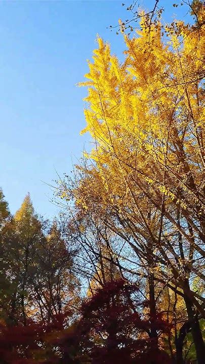 어떻게 이별까지 사랑하겠어 널 사랑하는 거지 악동 뮤지션 Youtube