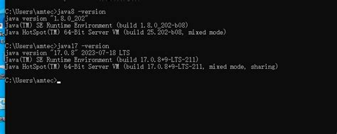Python以及java环境搭建解决不同版本环境共存问题 麦克斯韦方 博客园