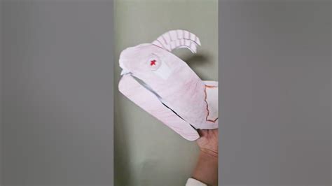 얼음 불 드래곤 스노어 Youtube