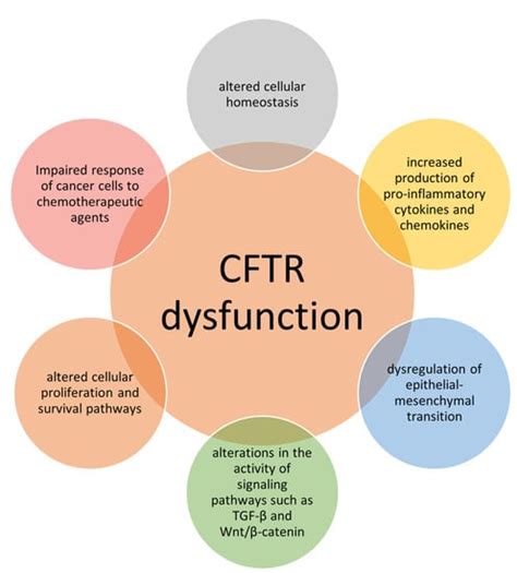 Cancers Special Issue Non Coding Rnas And Extracellular Vesicles In Cancer Crosstalk