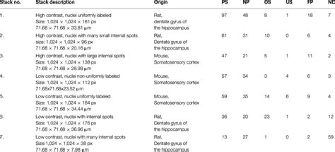 Validation Of The Segmentation Results Download Scientific Diagram