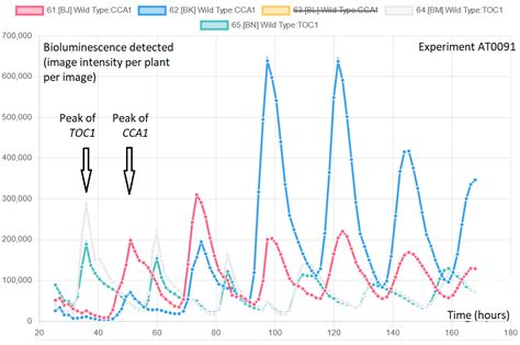 Filedata On Circadian Rhythm Of Gene Expression In Four Seedlings Two Of These Arabidopsis