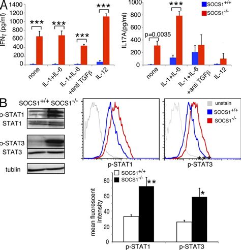Socs1 Deficient Treg Cells Convert Into Th1 And Th17 Like Cells In Download Scientific Diagram