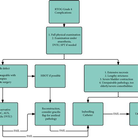 Management Algorithm For Radiation Therapy Oncology Group Rtog Grade Download Scientific