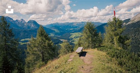 무성한 녹색 언덕 위에 앉아있는 벤치 사진 Unsplash의 무료 오스트리아 이미지