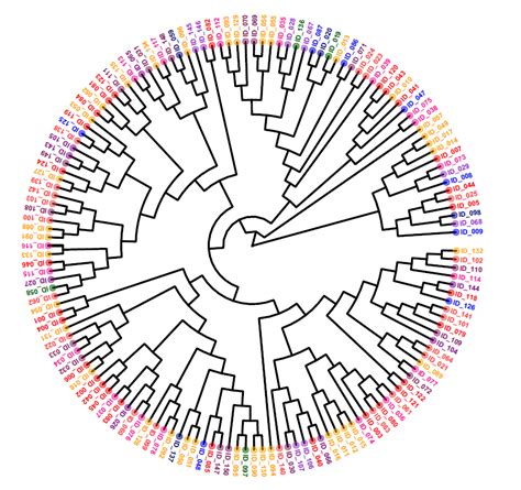 The Importance Of Labelled Data In Machine Learning Carlos A Toruño P