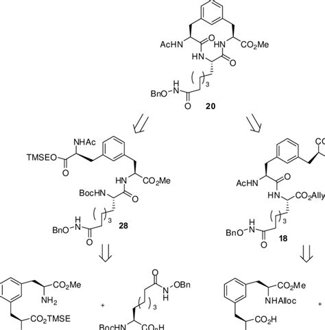 Retrosynthetic Analysis Of Cyclic Compound 20 Download Scientific Diagram