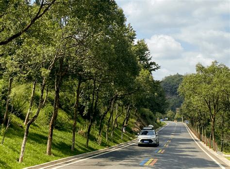 绿水青山惹人醉 武夷山国家公园1号风景道实力圈粉引来八方游客 文化 福建省 历史
