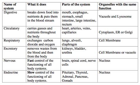 Topic 1 Cells Diagram Quizlet