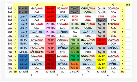 Superwobbling And Trna 34 Wobble And Trna 37 Anticodon Loop