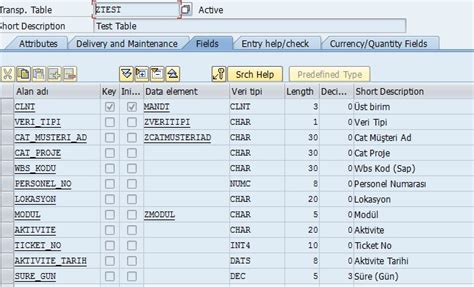 Solved Error Inserting Wa Into A Z Table Sy Subrc 4 Sap Community