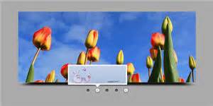 Jquery Slider With Image And Video Lightbox Popup Jquery Slider Wordpress Slideshow Jquery