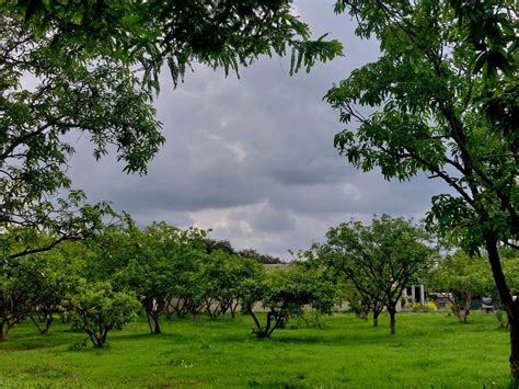 pavithra addanki on linkedin nature rainyseason adaptability