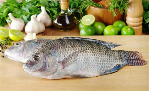 Mojarra Frita